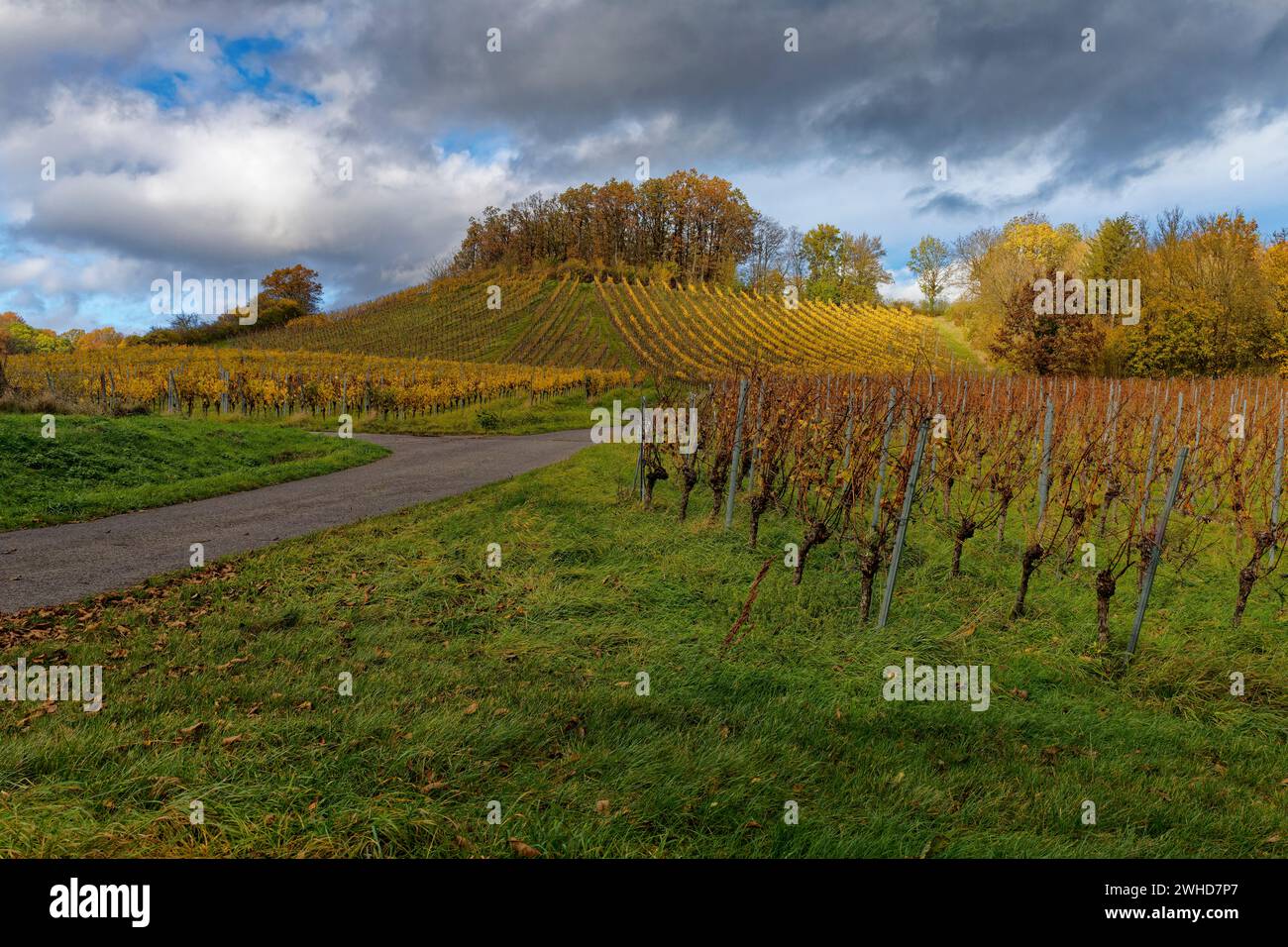 Municipality of michelau hi-res stock photography and images - Alamy