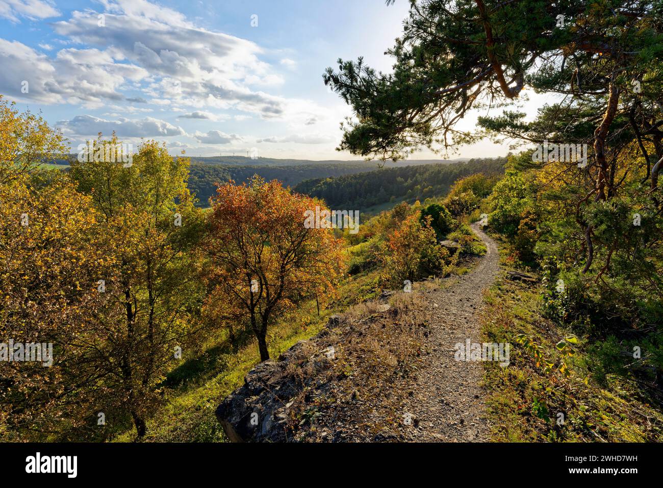 Landscape in the nature reserve Trockengebiete near Machtilshausen ...