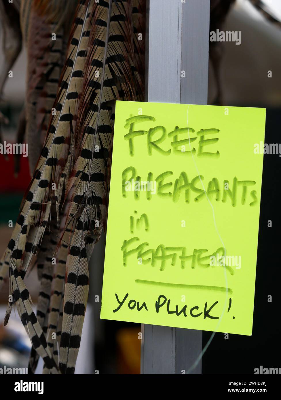 Hand written notice 'free pheasants in feather - you pluck' on a stall ...