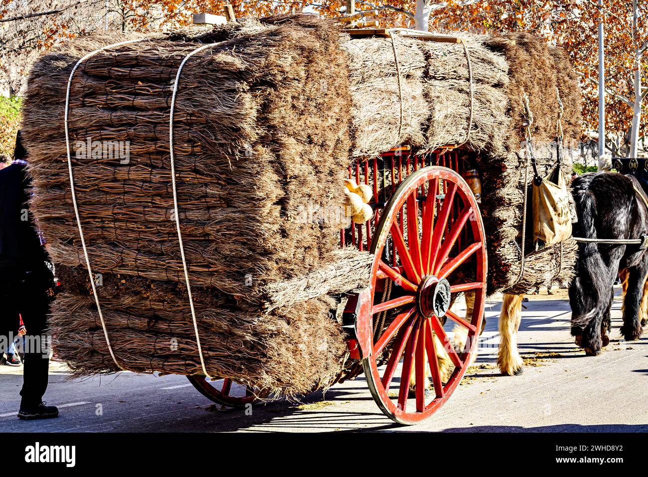 Horse parade at the festival of the three graves in Igualada, Barcelona ...