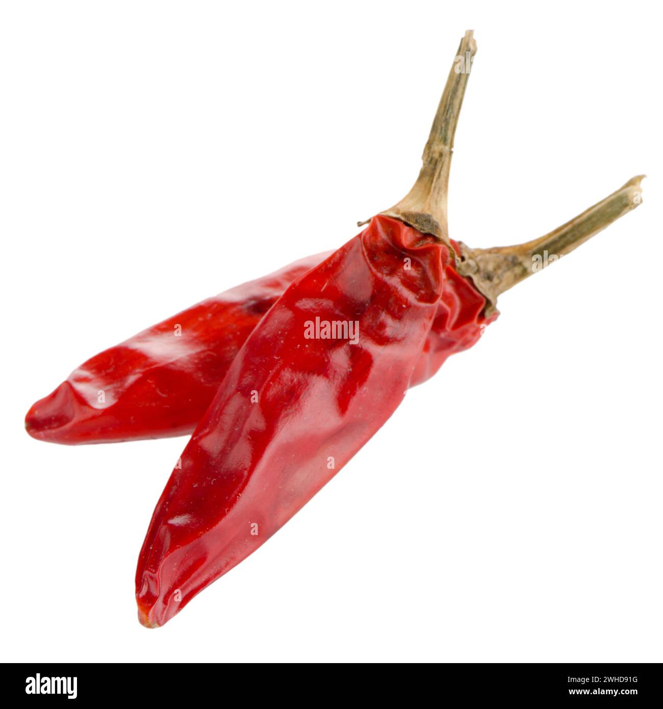 Pepper chili bell peppers hi-res stock photography and images - Alamy