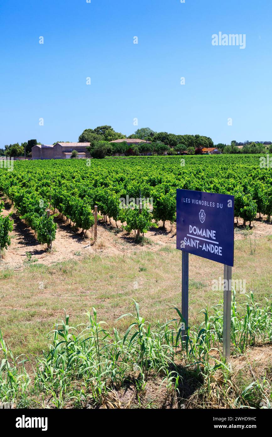 South france winery hi-res stock photography and images - Alamy