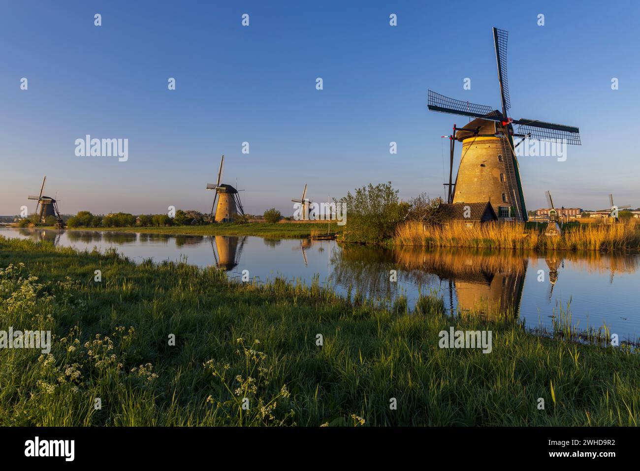 Traditional Dutch windmills in Kinderdijk - Unesco site, The ...