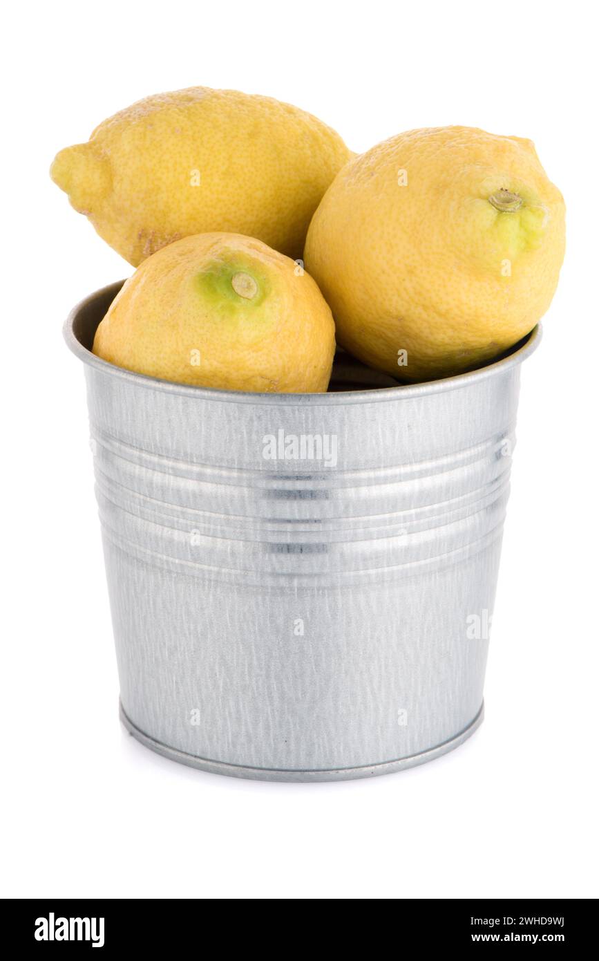 Lime bucket hi-res stock photography and images - Alamy