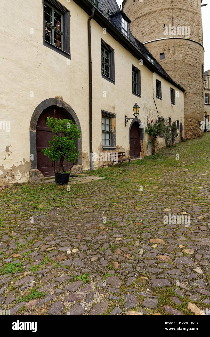 Skat hi-res stock photography and images - Alamy