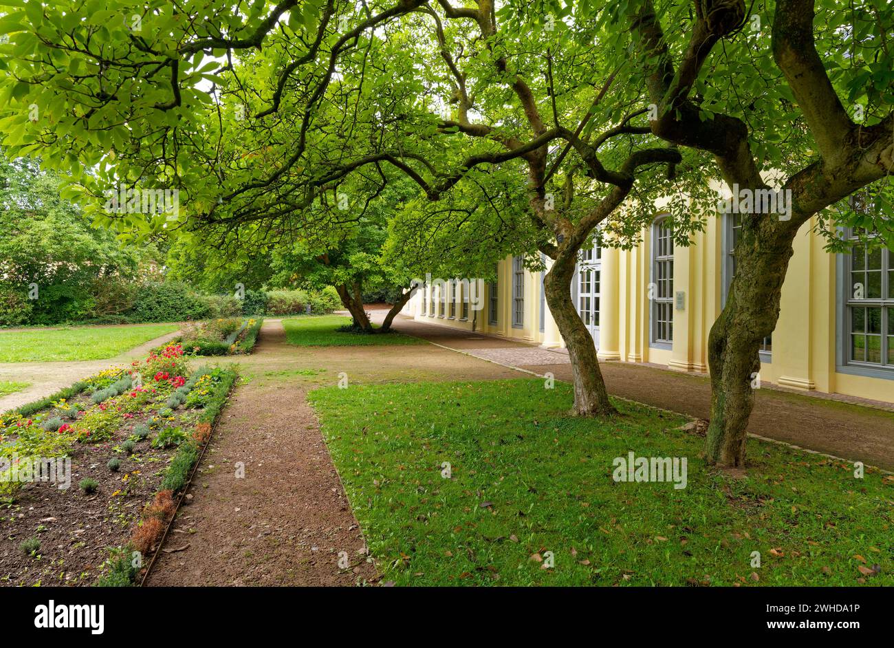 The orangery in the palace park of the residential palace of the ...