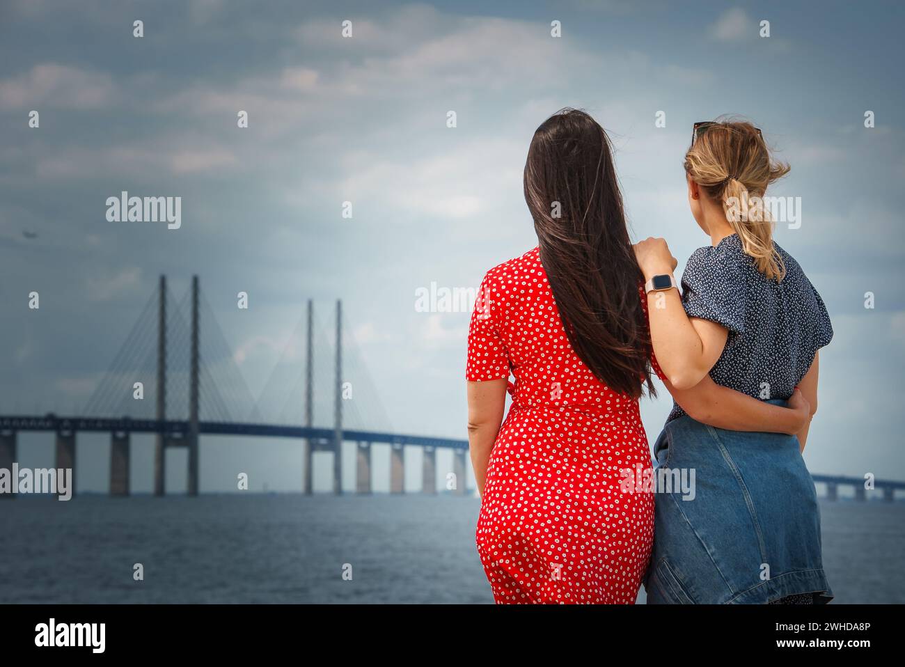 Two Friends Gaze Thoughtfully at the Oresund Bridge at Twilight's ...