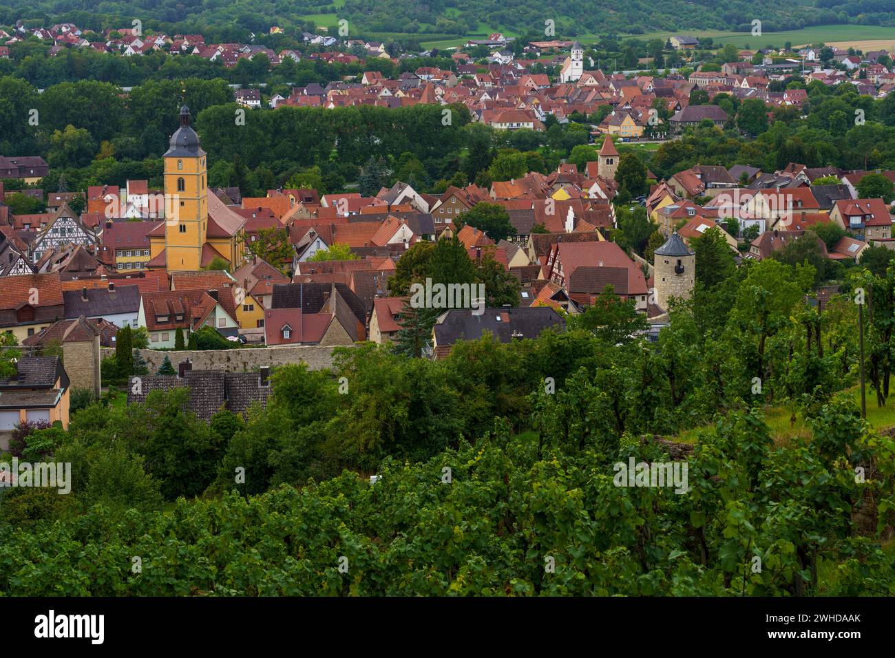 Evening mood over Sommerhausen am Main and its vineyards, district of ...