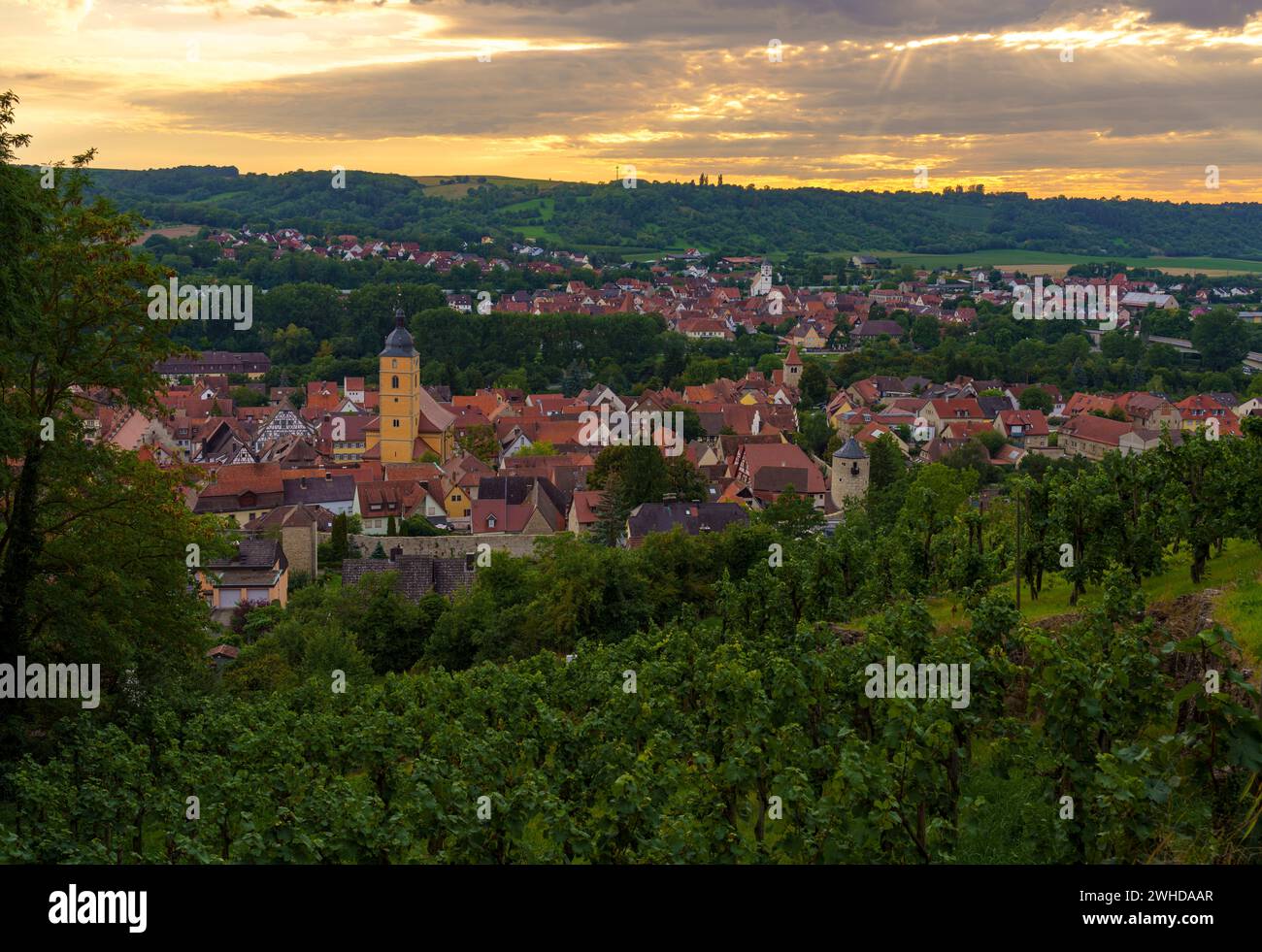Evening mood over Sommerhausen am Main and its vineyards, Würzburg ...