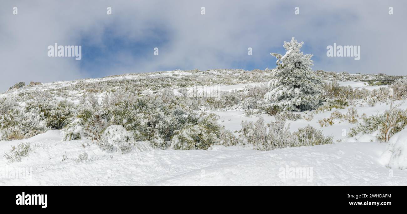 Serra da estrela torre hi-res stock photography and images - Alamy