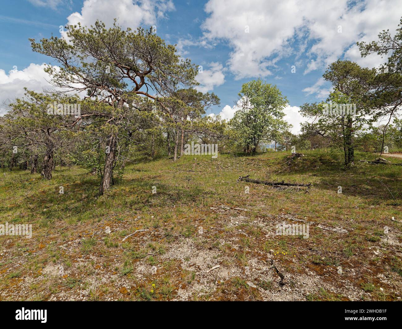 Mainfranken landscape conservation area hi-res stock photography and ...