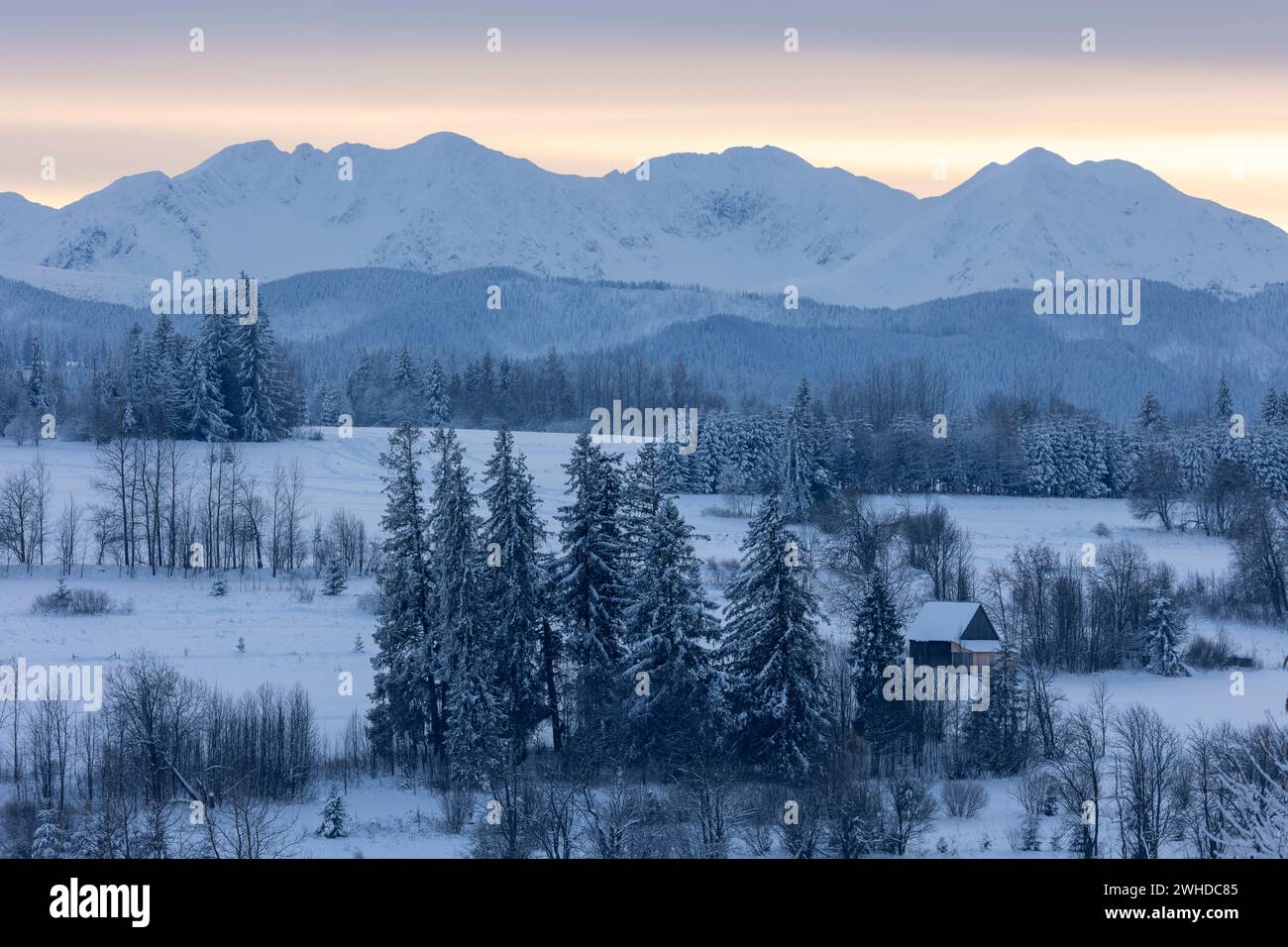 Cold in poland hi-res stock photography and images - Alamy