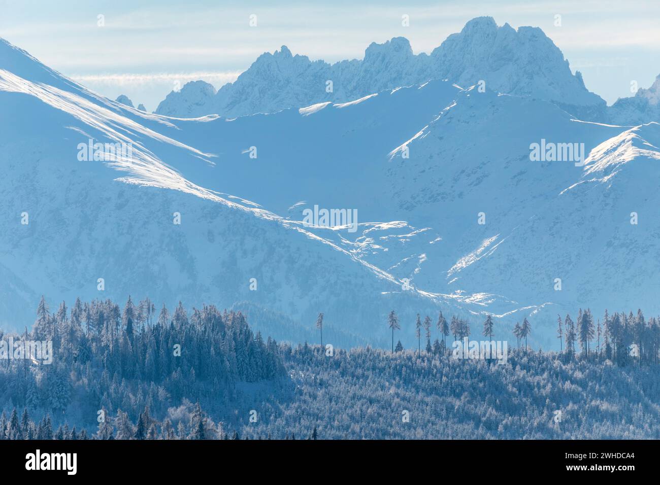 Europe, Poland, Lesser Poland, Tatra Mountains, Podhale, view from ...