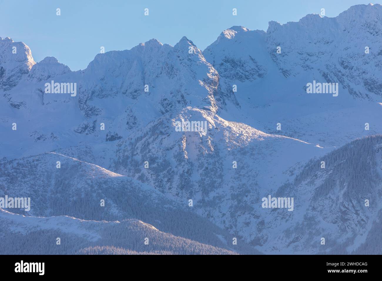 Europe, Poland, Lesser Poland, Tatra Mountains, Podhale, view from Zab ...