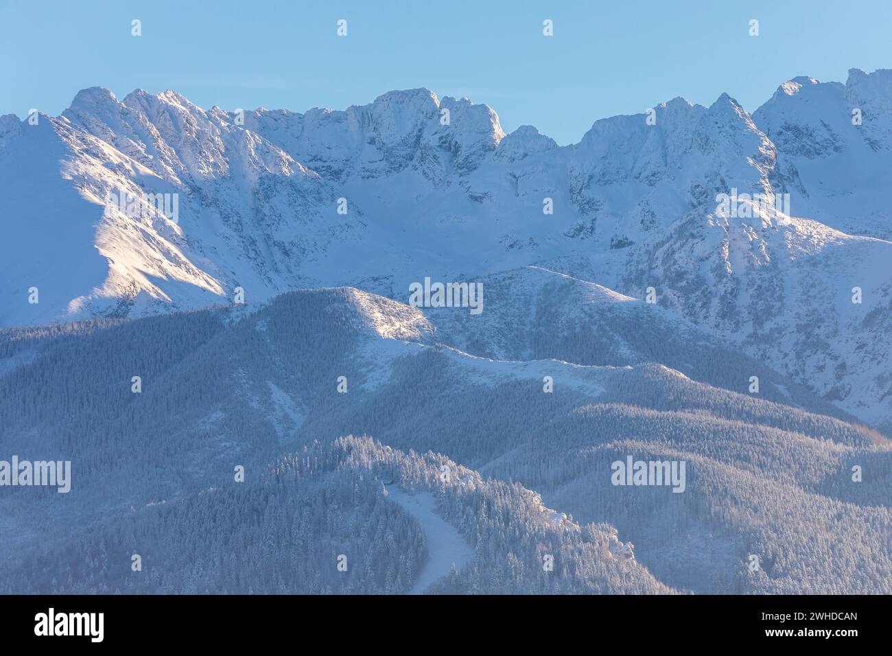 Europe, Poland, Lesser Poland, Tatra Mountains, Podhale, view from Zab ...