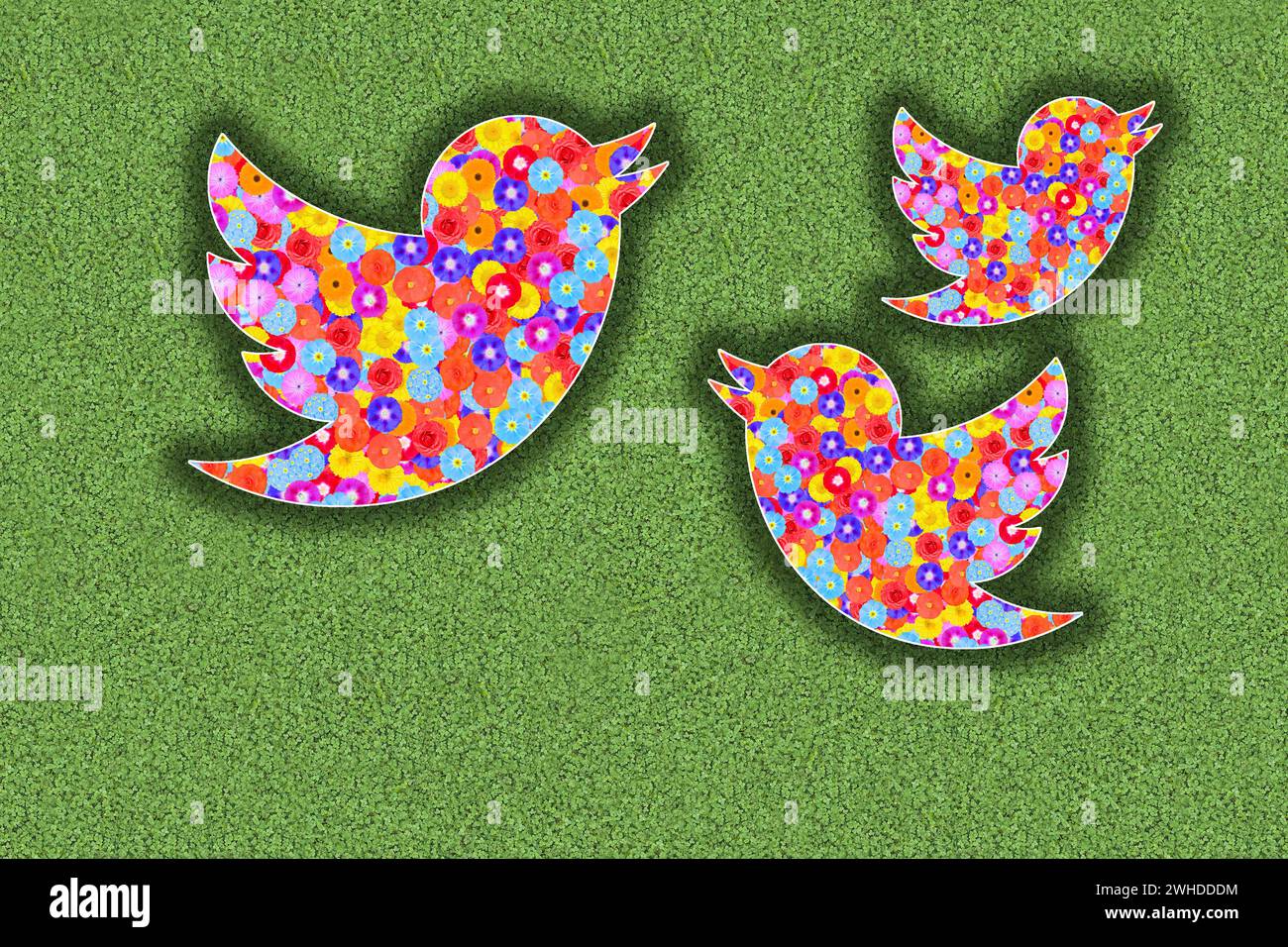 Twitter logo with colourful flowers hi-res stock photography and images ...