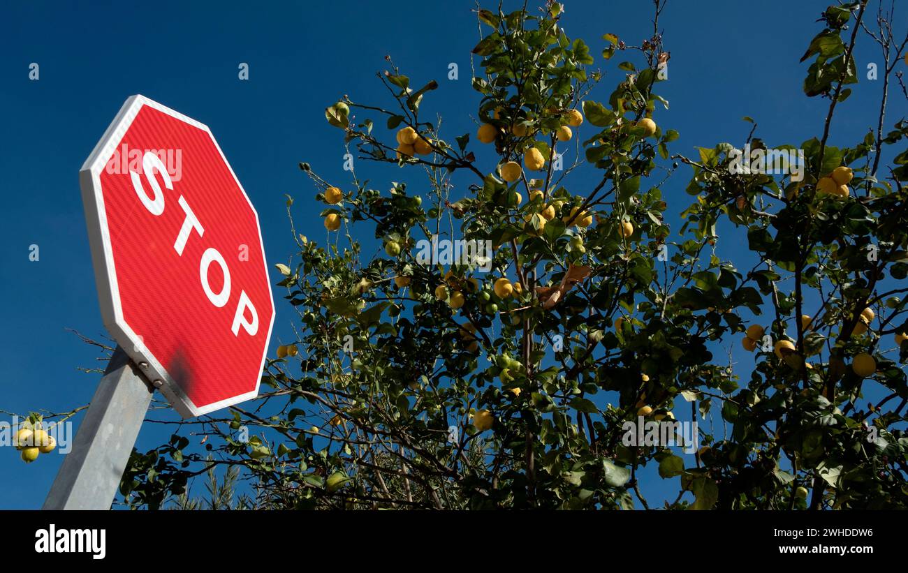 Stop sign spain hi-res stock photography and images - Alamy