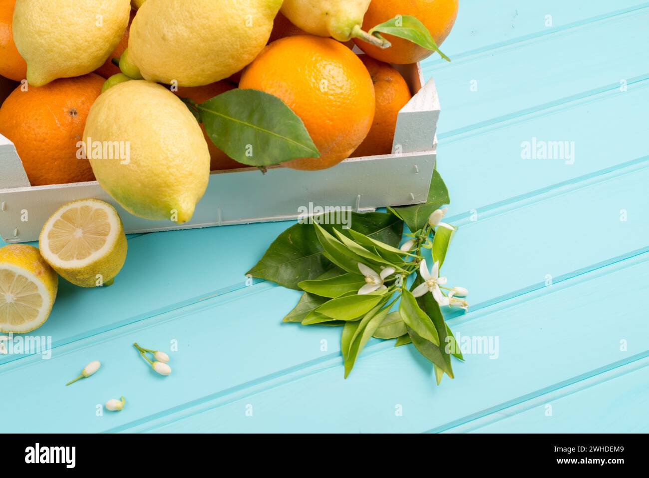 Freshness of citrus fruits hi-res stock photography and images - Alamy