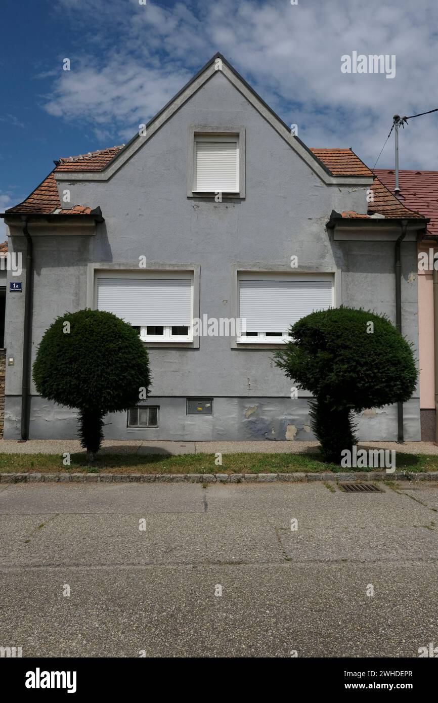 Twins trees hi-res stock photography and images - Alamy