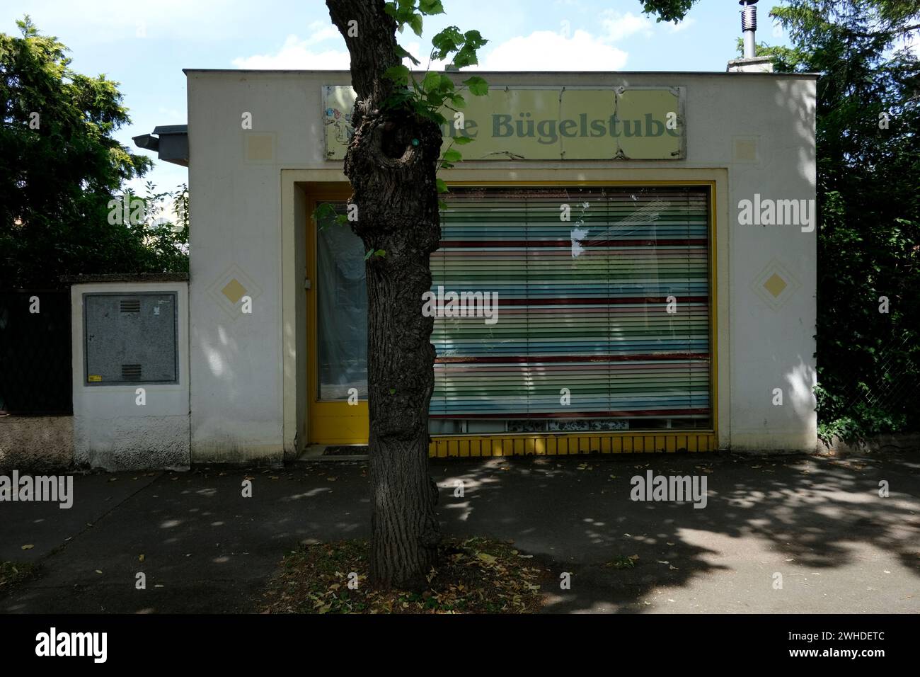 Tree store hi-res stock photography and images - Alamy
