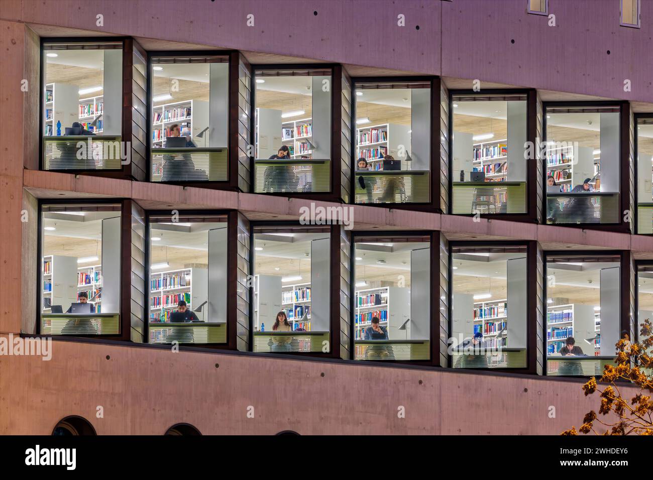 Germany, Baden-Württemberg, Stuttgart, Night shot of the Württemberg ...