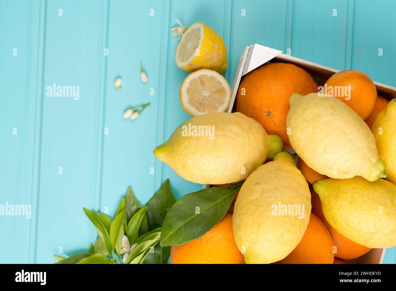 Citrus fresh fruits Stock Photo - Alamy