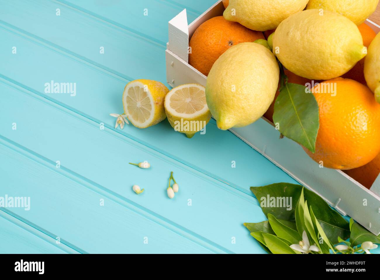 Citrus fresh fruits Stock Photo - Alamy