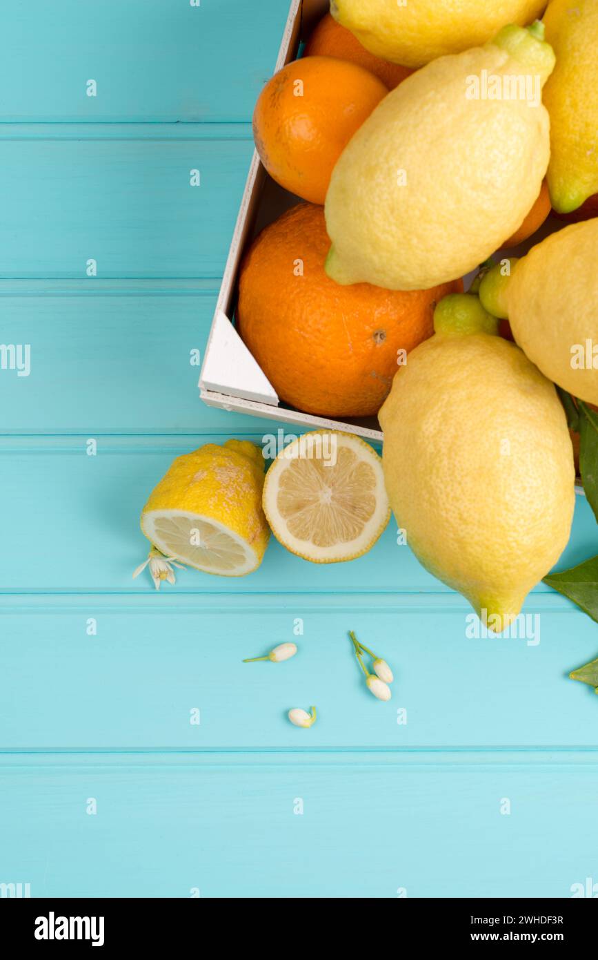 Citrus fresh fruits hi-res stock photography and images - Alamy
