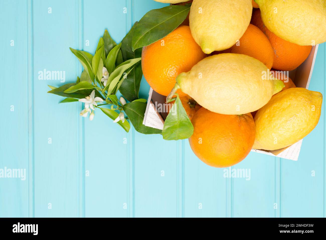 Citrus fresh fruits hi-res stock photography and images - Alamy