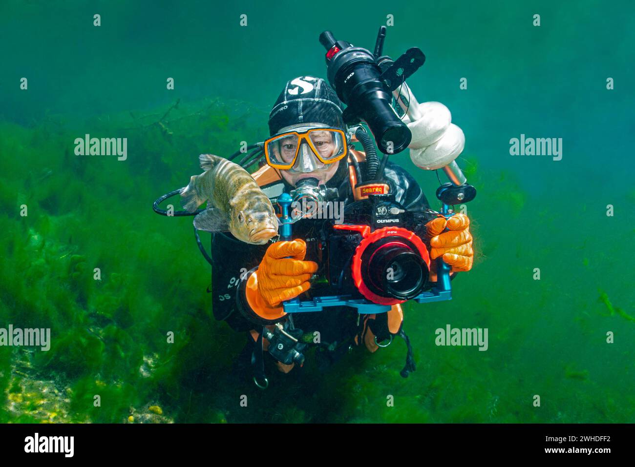 Underwater camera hi-res stock photography and images - Alamy