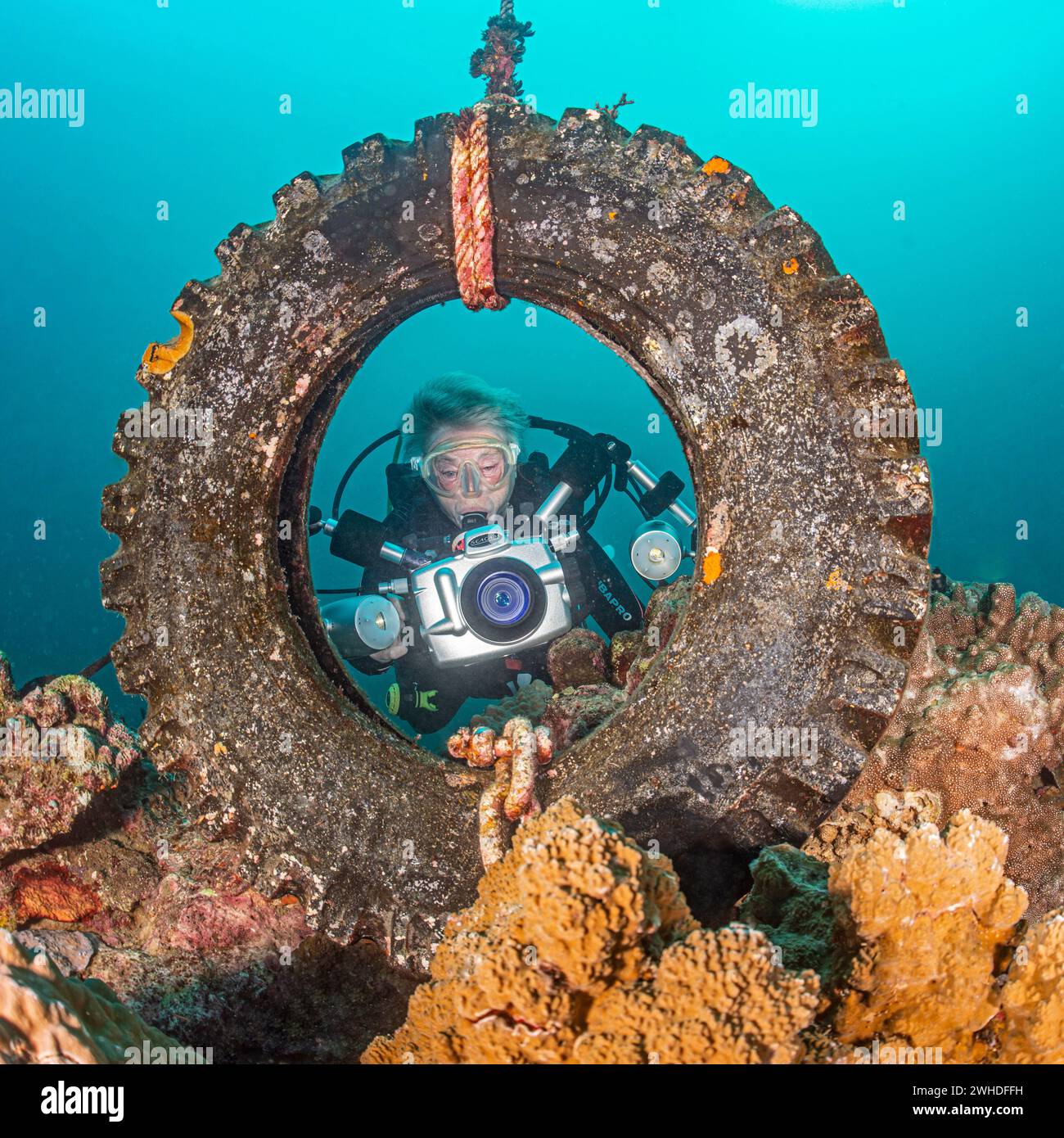 Diver looks through a sunken car tire on a wreck in Papua New Guinea ...