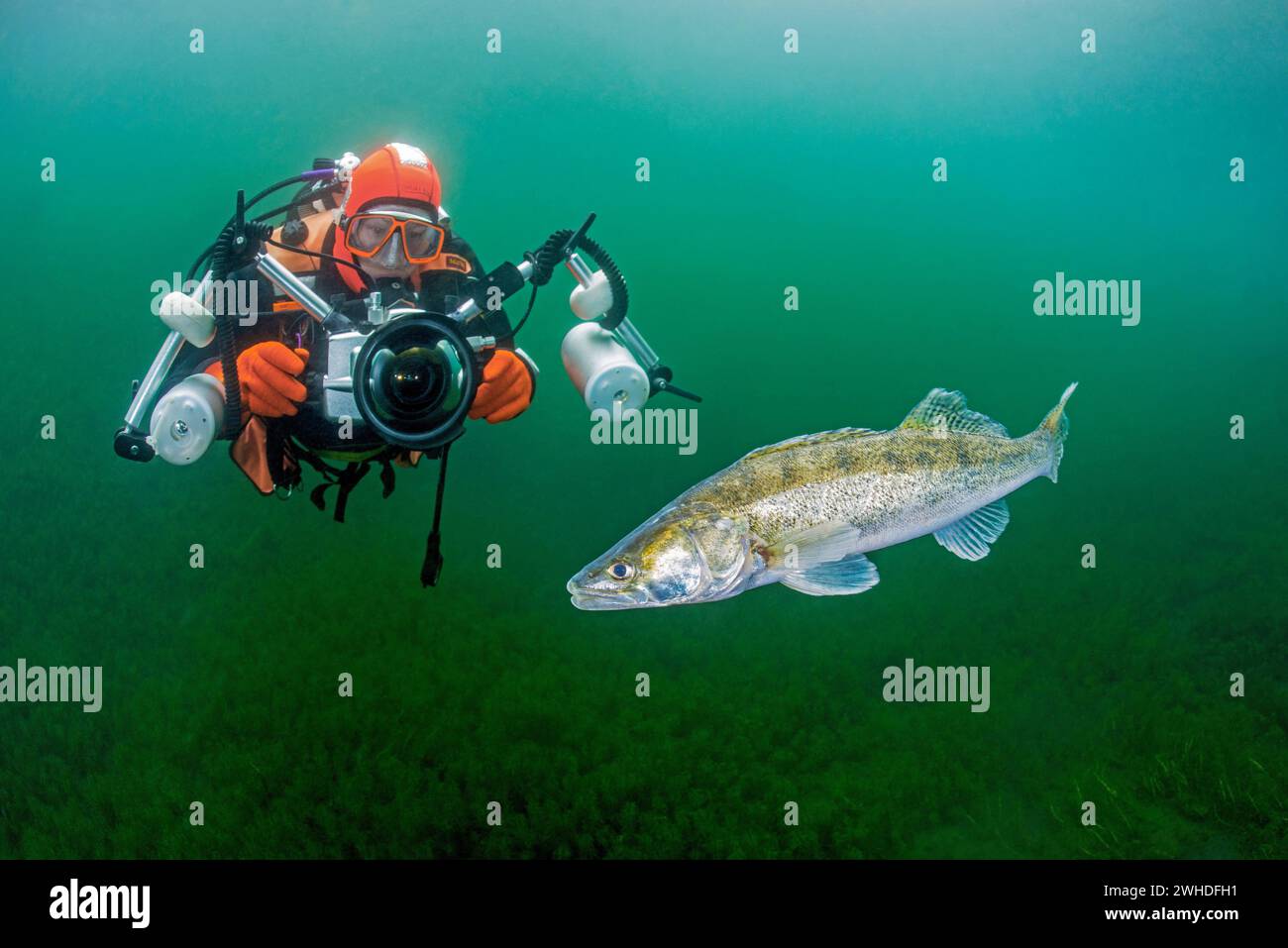 Taking photographs in germany hi-res stock photography and images - Alamy