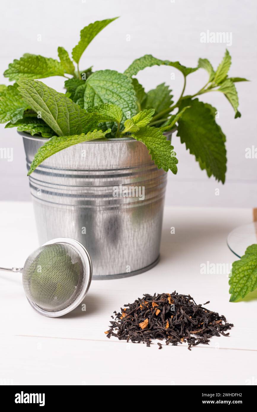 Herbal tea with melissa Stock Photo - Alamy