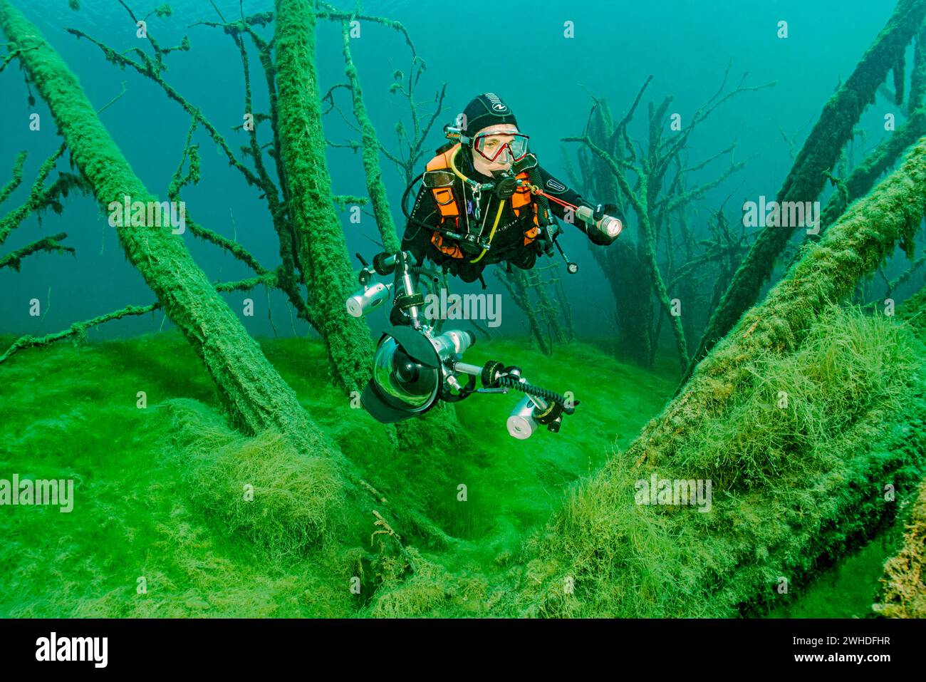 Lake froser see hi-res stock photography and images - Alamy