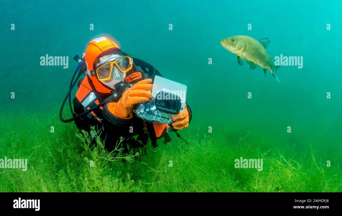 Compact fish hi-res stock photography and images - Alamy