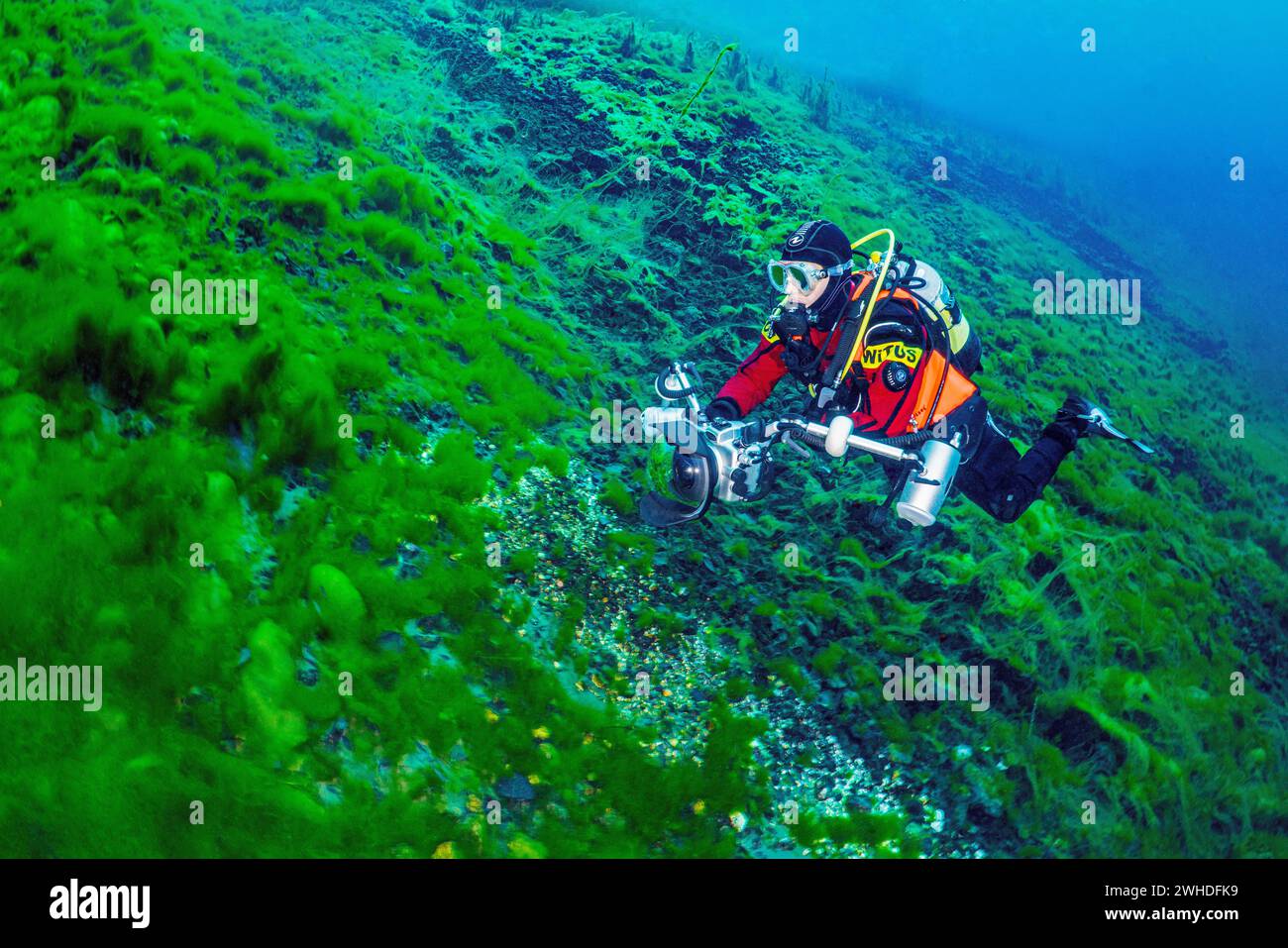 Divers with camera swimming in a spring lake in Abruzzo, Italy Stock ...