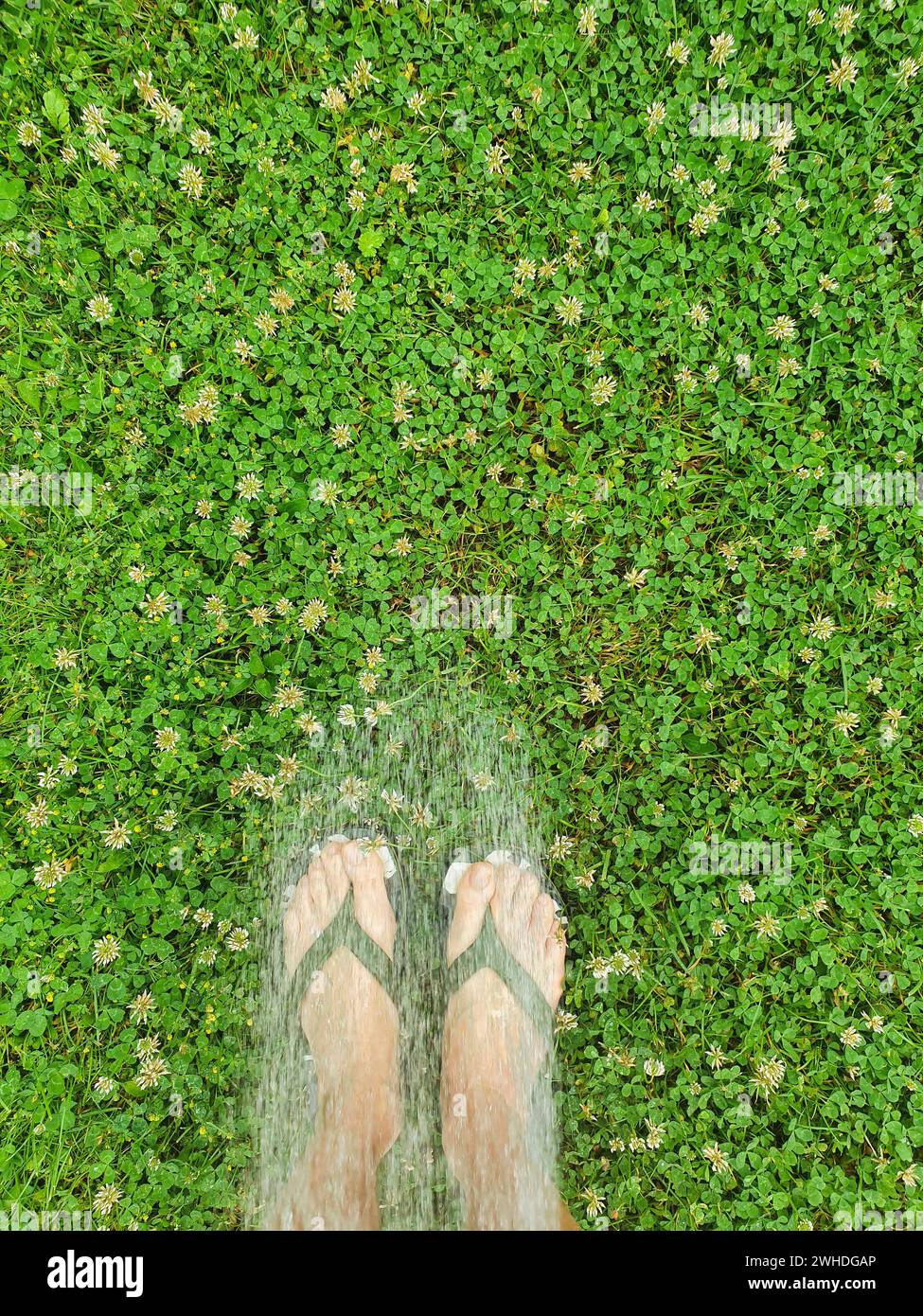 Women's feet barefoot outside in nature, water jet cools feet in flip ...