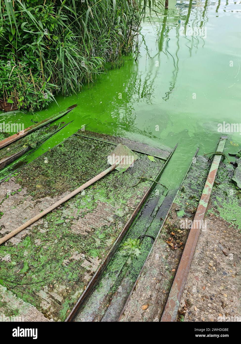 Green ramp hi-res stock photography and images - Alamy