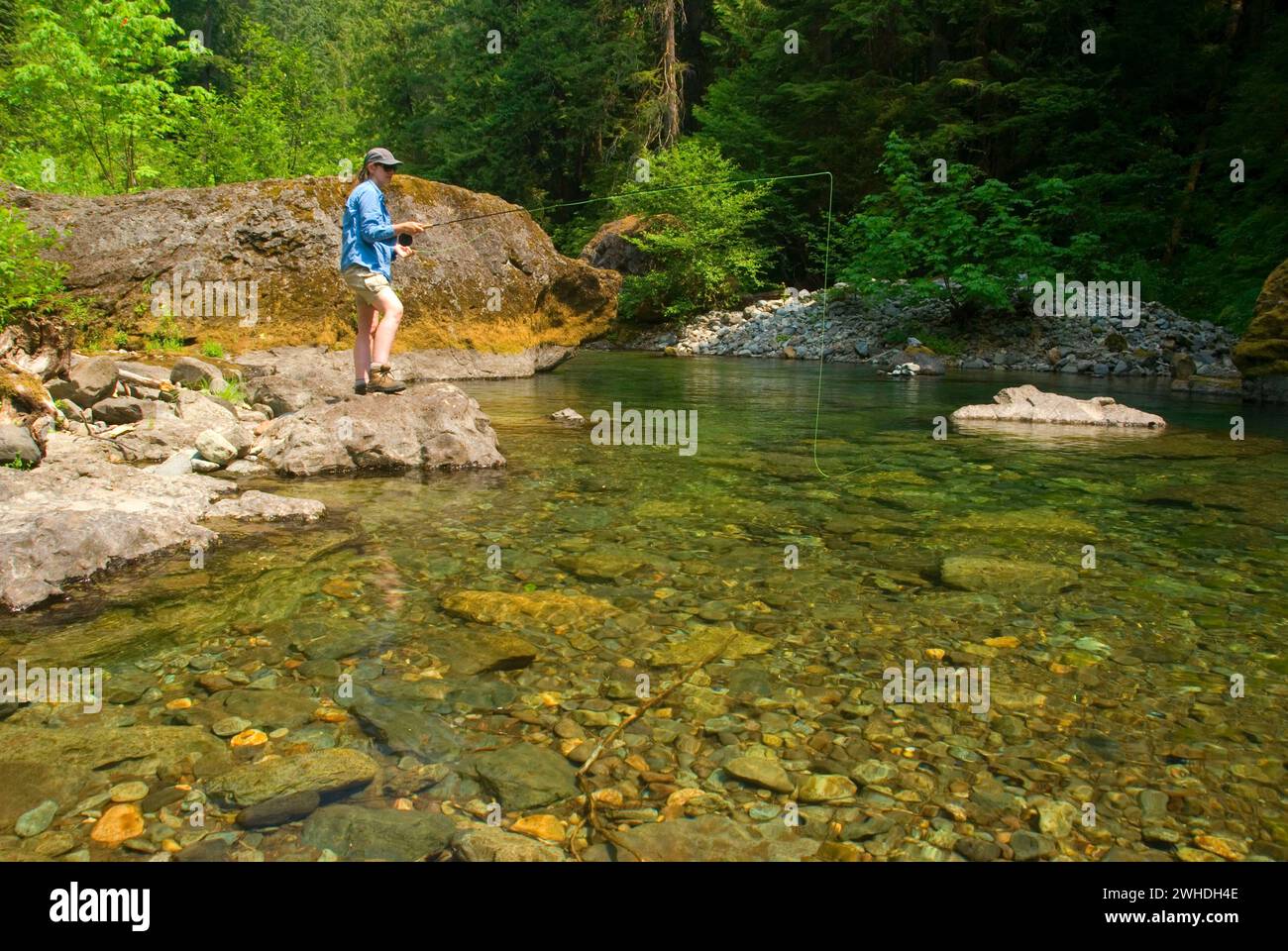 Flyfishing, Quartzville Creek Wild and Scenic River, Quartzville ...