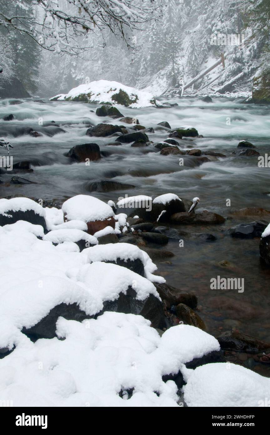 North Santiam River at Whispering Falls Campground, Willamette National ...
