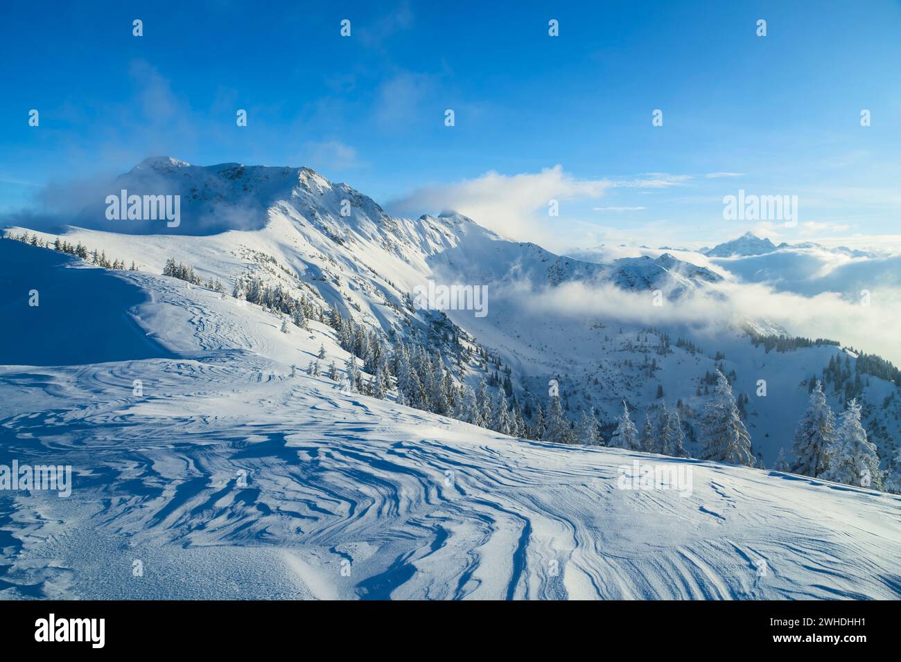 Hochvogel above the hintersteiner valley allgau alps hi-res stock photography and images - Alamy