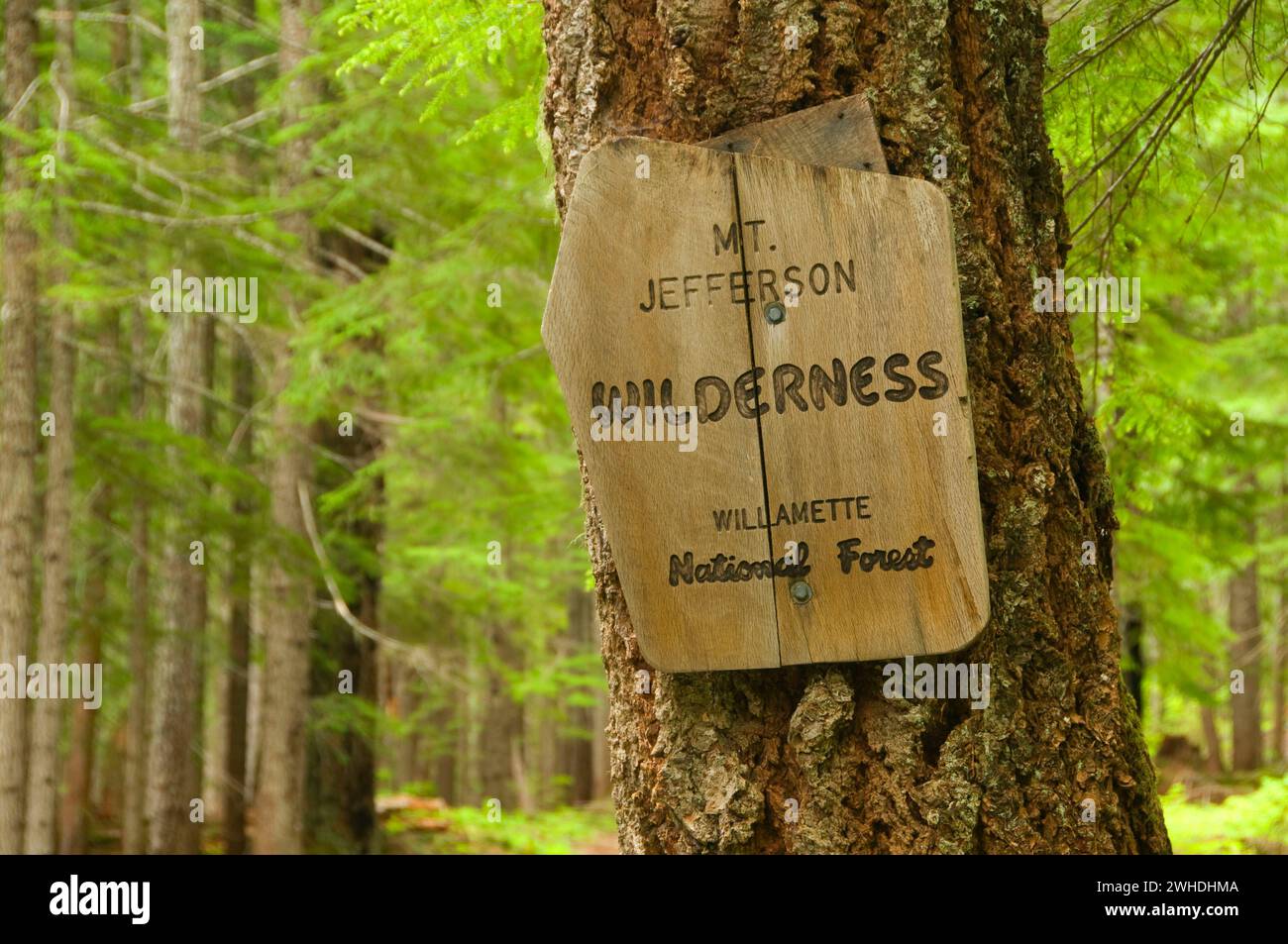 Wilderness sign, Mt Jefferson Wilderness, Willamette National Forest ...