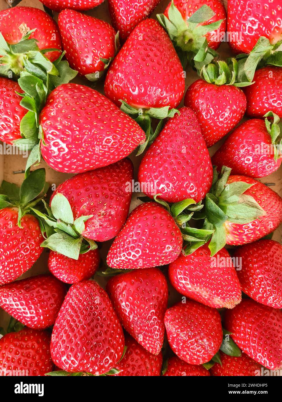 Red pores hi-res stock photography and images - Alamy