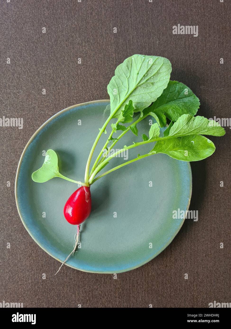 Raw root vegetables on plate in natural light hi-res stock photography ...