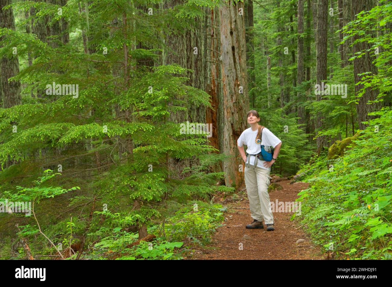 Marion Lake Trail, Mt Jefferson Wilderness, Willamette National Forest ...