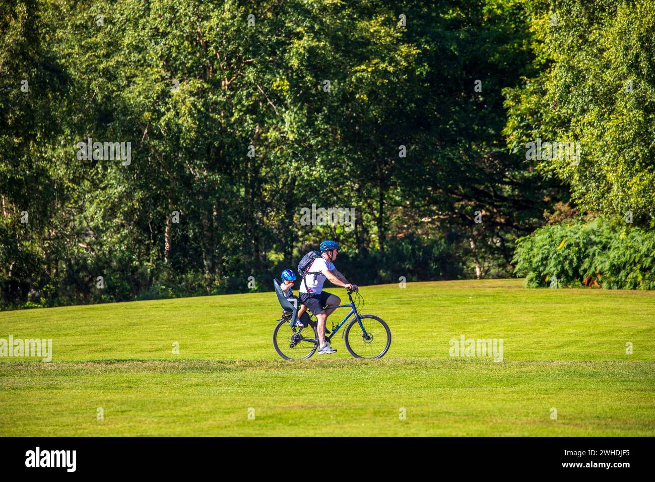 father son cycling Stock Photo - Alamy