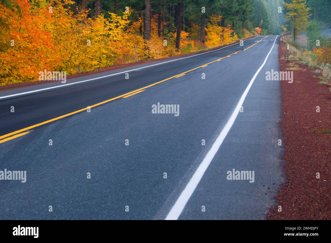 West Cascades Scenic Byway, Willamette National Forest, Oregon Stock ...