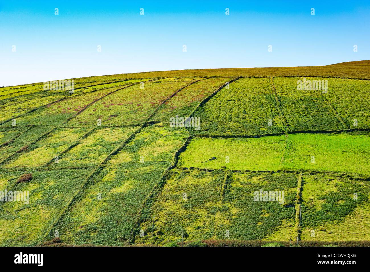 Farm hedgerows hi-res stock photography and images - Alamy