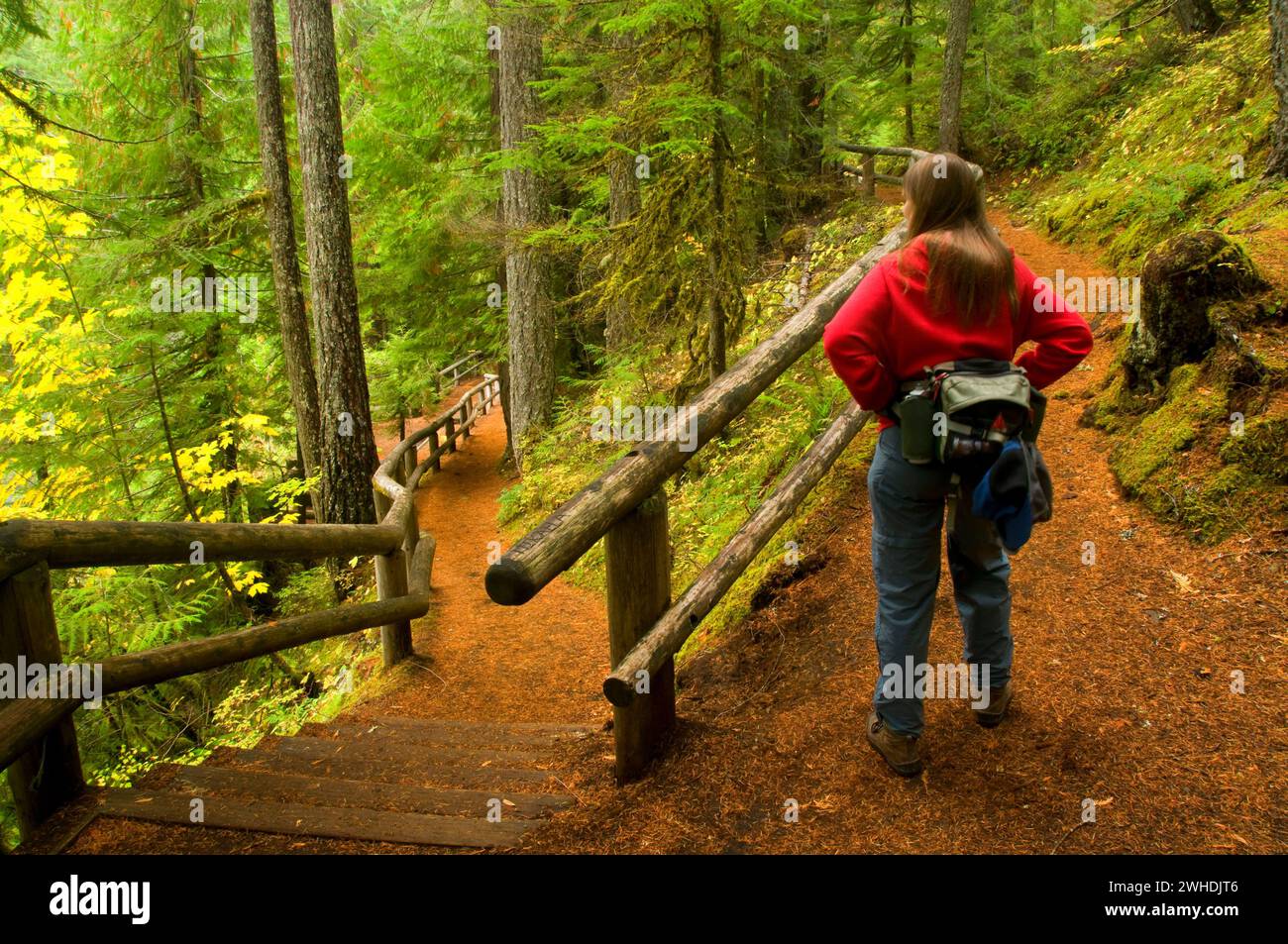 McKenzie River National Recreation Trail, McKenzie Wild and Scenic ...