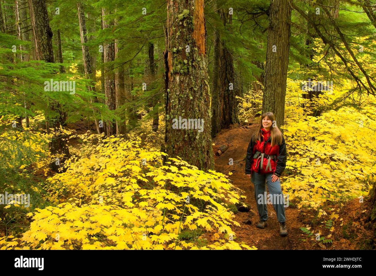McKenzie River National Recreation Trail, McKenzie Wild and Scenic ...